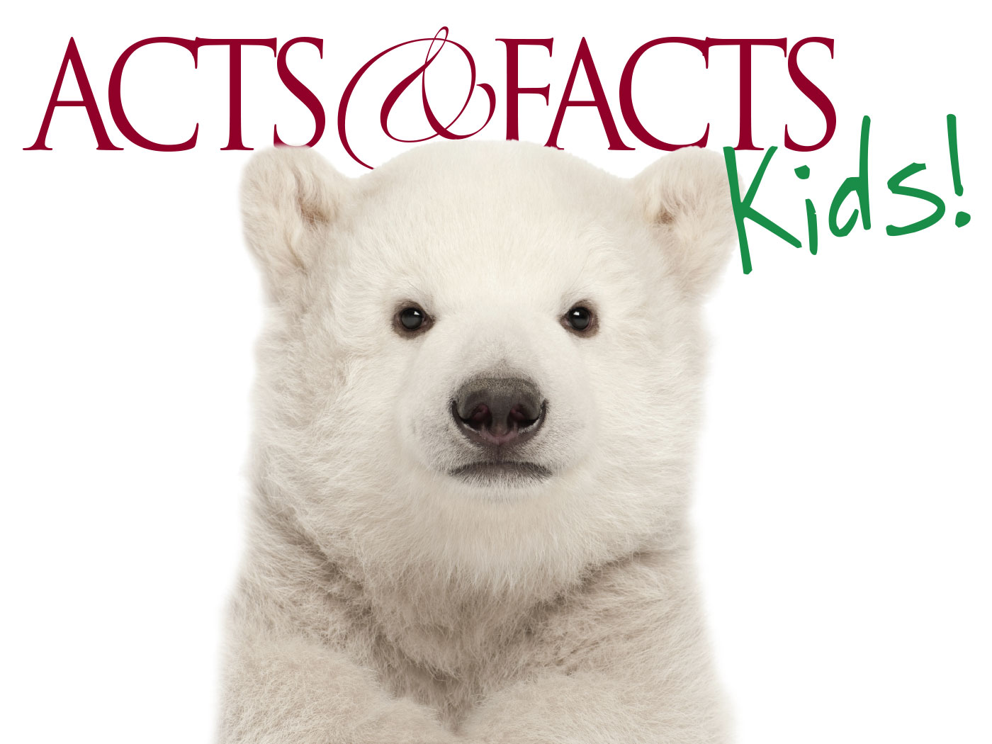 The Pilgrims | The Institute for Creation Research